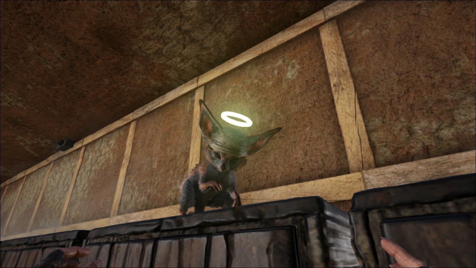 Immaculate Conception, game bug or is Jerboa Jesus my new wingman ...