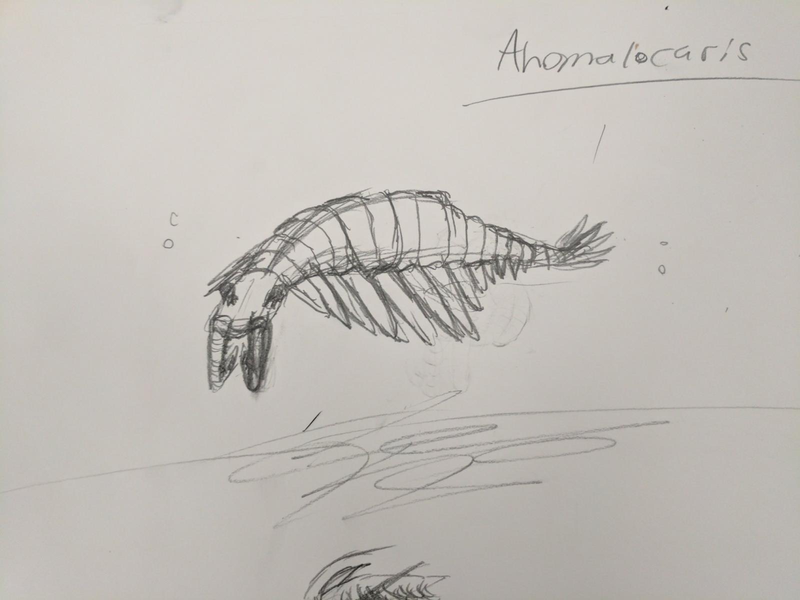 Anomalocaris - Community Albums - ARK - Official Community Forums
