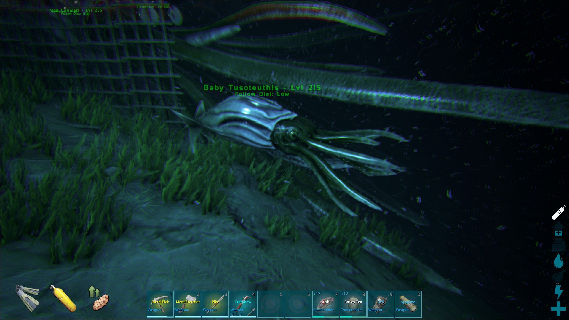 Here's what the new squid egg looks like - General Discussion - ARK ...