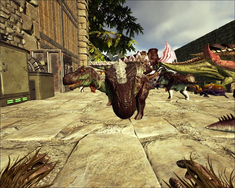 So I just got my first Colour Mutated Rex Twins! So happy and wanted to ...