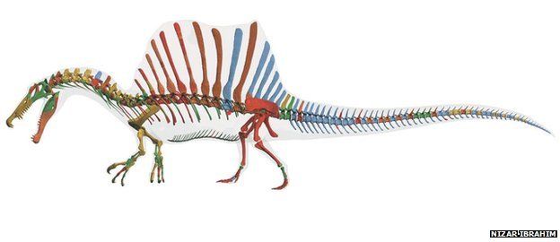 Spinosaurus Model - Page 2 - General Discussion - ARK - Official ...