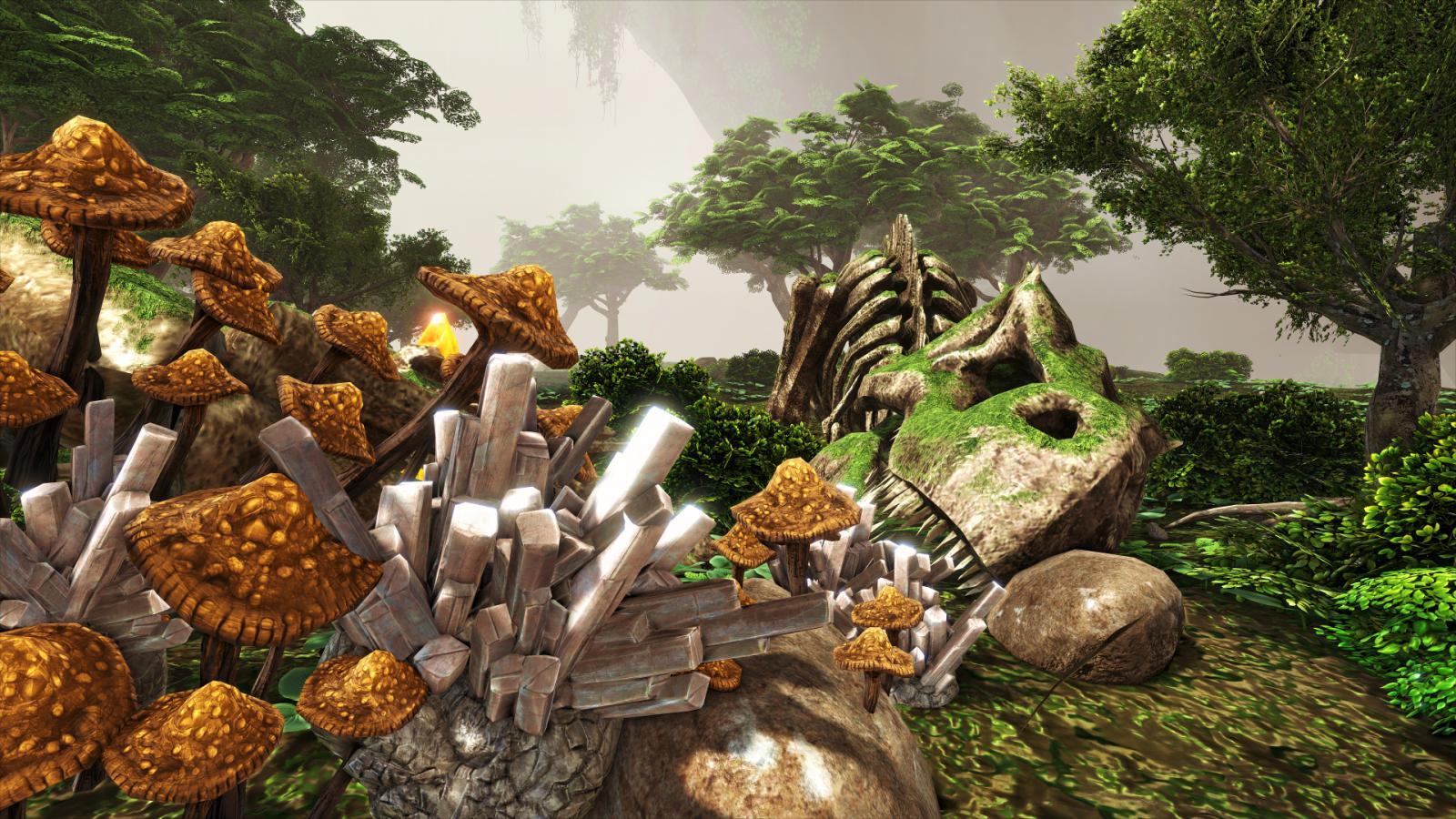 Community Crunch 99 & ARK Digest 47: Introducing the Otter! - ARK News ...
