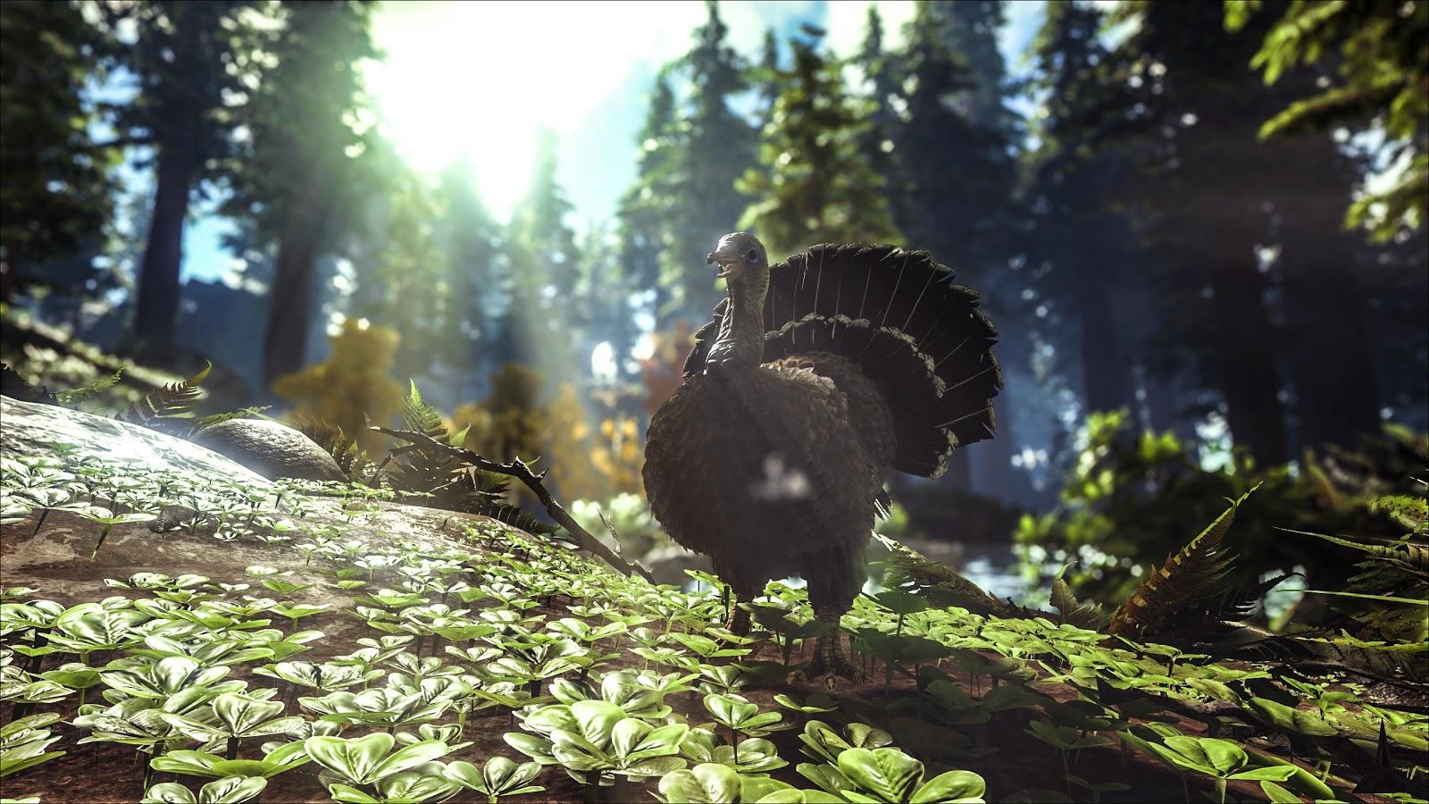 Community Crunch 209: Mysterious Mysteries, and Turkey Trial ...