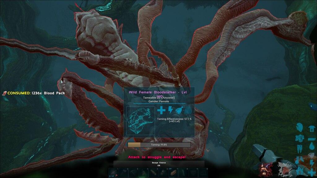 All bloodstalkers only tame at 57.1 efficiency after the patch - Page 2 ...