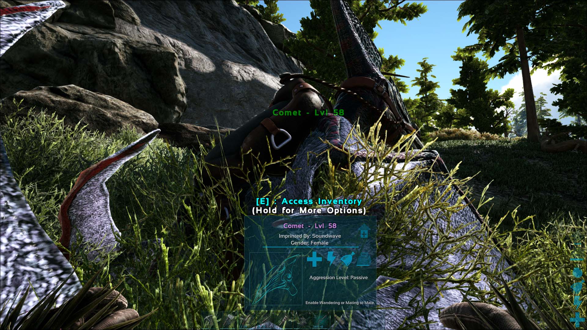 Can't mount flyer - General - ARK - Official Community Forums