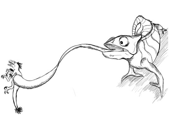 Calumma Benovskyi "the power of the tongue" - Creature submission ...