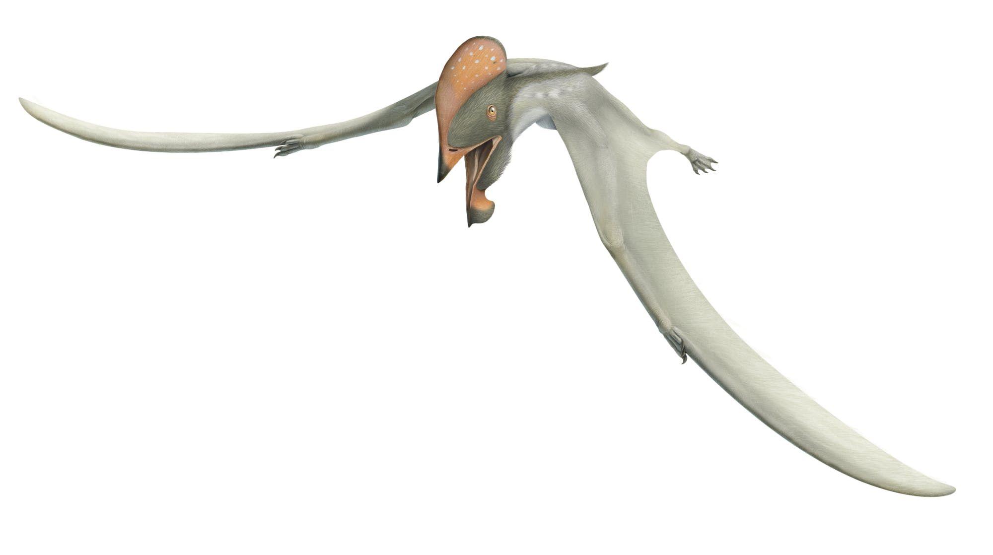 ARK 2 CREATURE IDEAS - ARK 2 - ARK - Official Community Forums