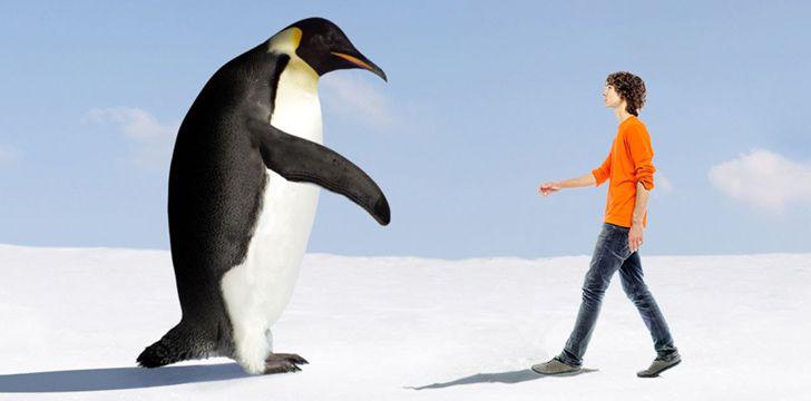 The Colossus Penguin - Creature submission archive - ARK - Official ...