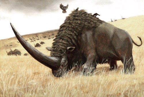 Elasmotherium (SIBERIAN UNICORN) - Creature submission archive - ARK ...