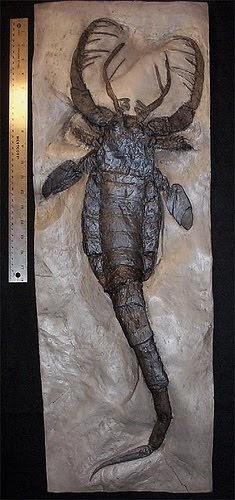 Pterygotus- the monster Eurypterid - Creature submission archive - ARK ...