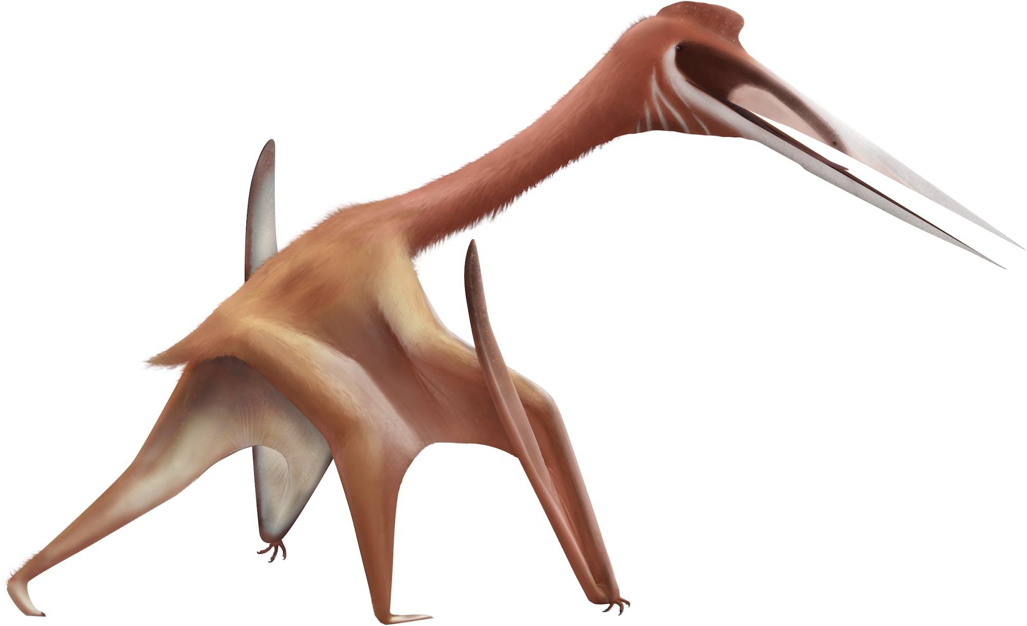 Aerotitan lockheed: The Fighter Jet of the ARKs - Creature submission ...