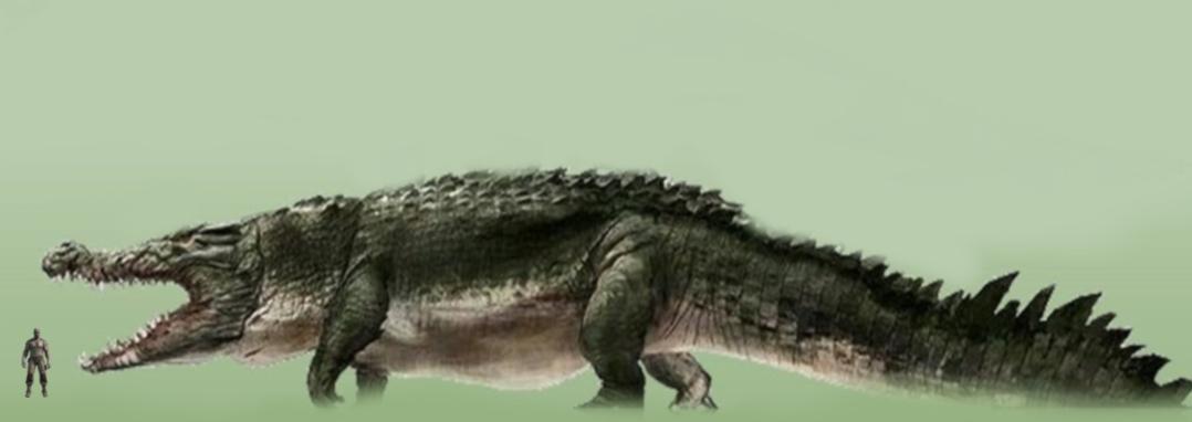 Crocodylus Imperator (Saltwater Apex) - Creature submission archive ...
