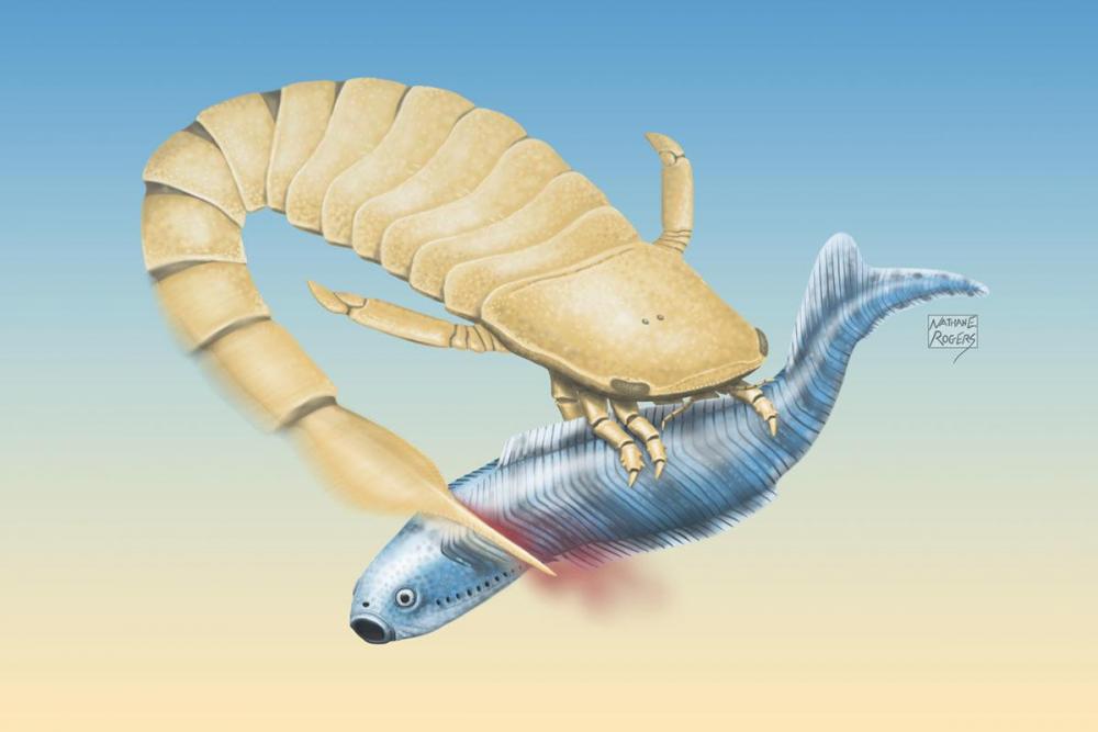 Pterygotus- the monster Eurypterid - Creature submission archive - ARK ...