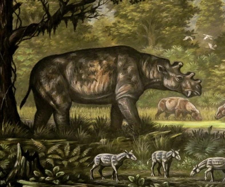 Uintatherium arietem, the living battle ram - Creature submission ...