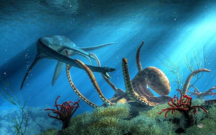 Octopoda a.k.a. the giant octopus - Creature submission archive - ARK ...