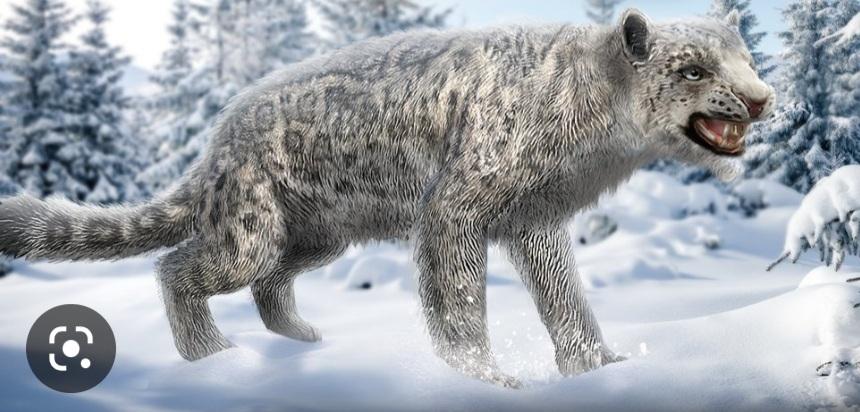 Panthera Blytheae - Snow Leopard - Creature submission archive - ARK ...
