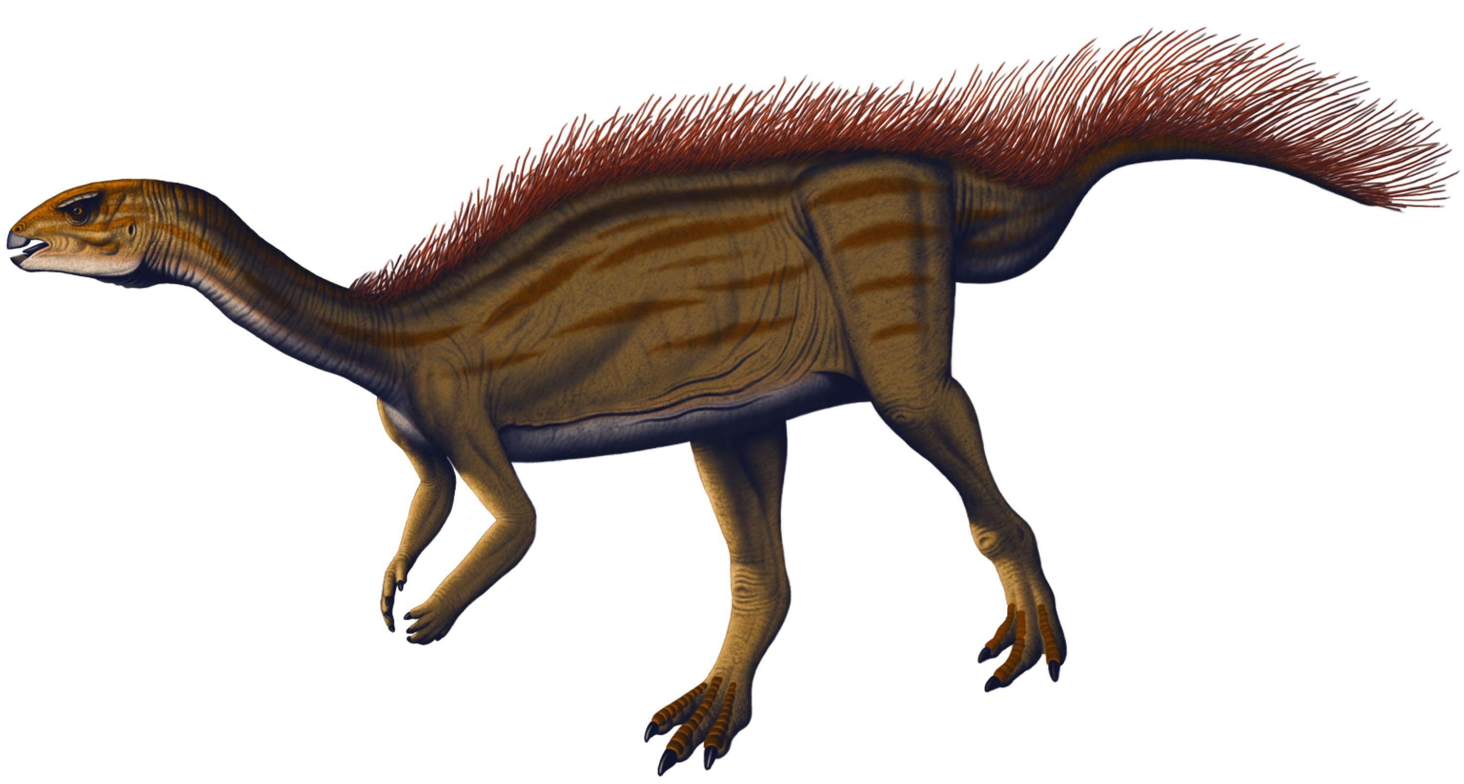 Dryosaurus / Dryo, Tree Lizard - Creature submission archive - ARK ...