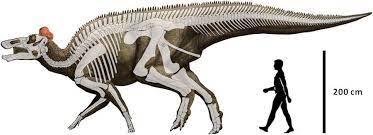 Duck Billed dinosaurs and Small herbivore behavior updates - Creature ...