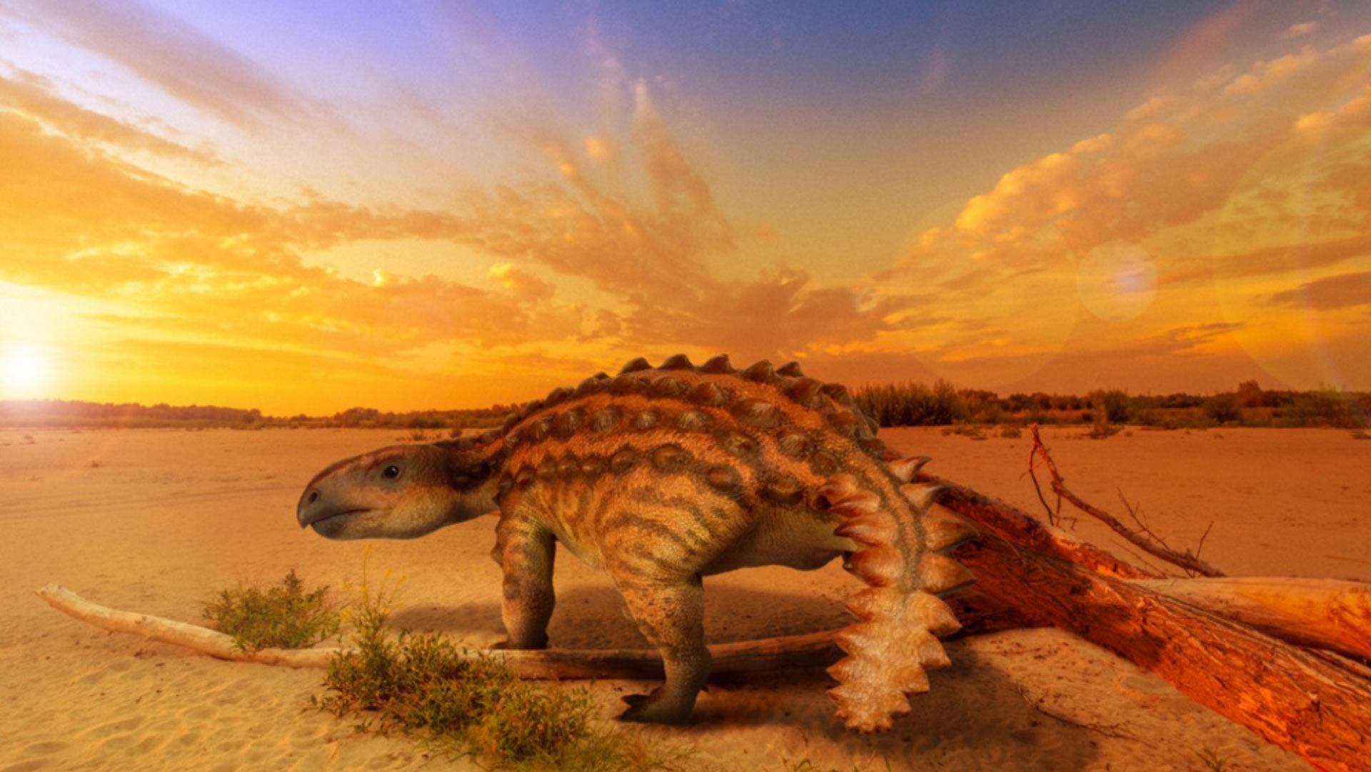 Stegouros elengassen - Creature submission archive - ARK - Official ...