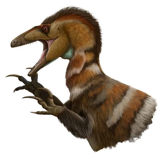 Australovenator, small-medium megaraptorian - Creature submission ...