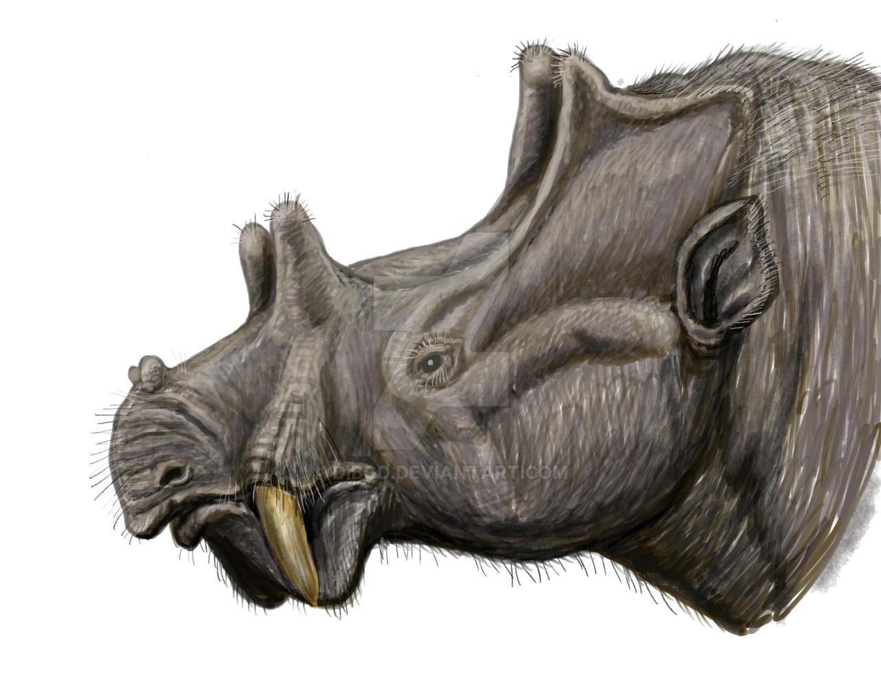 Uintatherium (Beast of the Uinta Mountains) - Creature submission ...