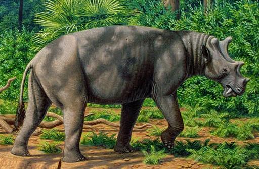 Uintatherium: The Walking Ballista - Creature submission archive - ARK ...