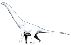 atacamatitan ("Chilean atacama titan") - Creature submission archive ...