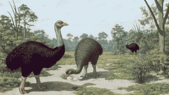 Vorombe Titian: The Elephant Bird - Creature submission archive - ARK ...