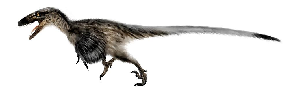 Utahraptor - Apex Pack Hunters Of The Desert - Creature submission ...