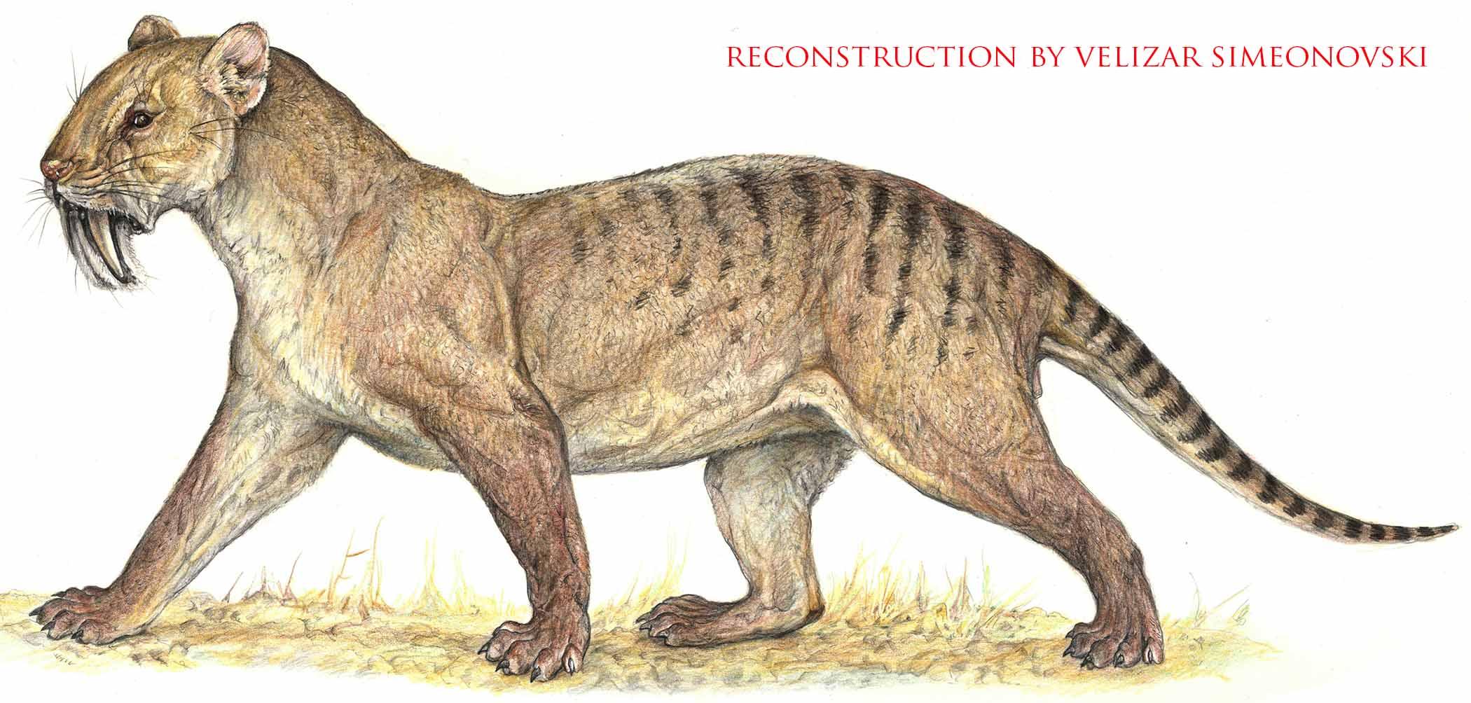 Thylacosmilus - ARK 2 - ARK - Official Community Forums