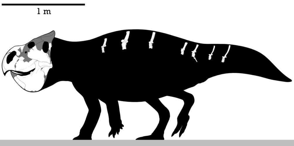 Udanoceratops, Bone and Boulder Crunching Bruiser with a Harpoon Turret ...