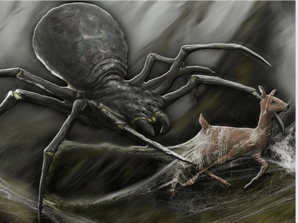 Megarachne Servinei Megarachne Servienei, Giant Spider? – DinoGear