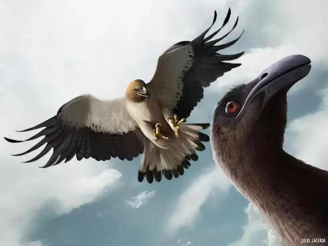 Haast Eagle - Creature submission archive - ARK - Official Community Forums