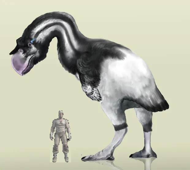 Introducing Dromornis Stirtoni - The Demon Duck of Doom - Creature ...