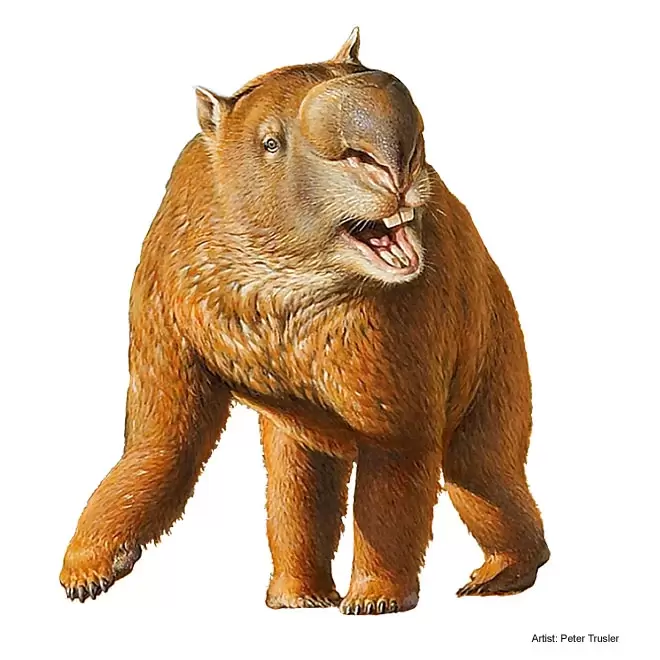 Introducing...the Diprotodon! The Walking Food Trough! - Creature ...