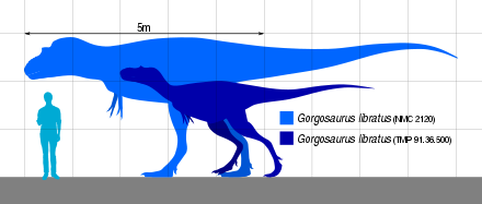 Gorgosaurus - Creature submission archive - ARK - Official Community Forums