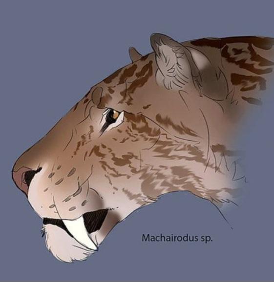 Machairodus: Ark's Baddest Kitty & Pack Giga Counter - Creature ...