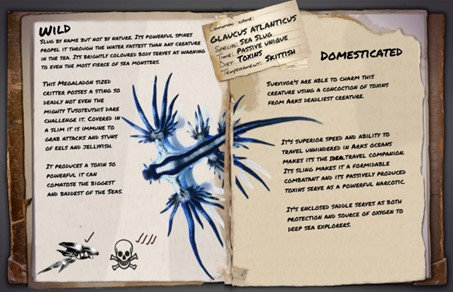 Glaucus Atlanticus (Blue sea dragon) - Creature submission archive ...