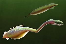 Tullimonstrum gregarium, the Creature from God’s Rough Drafts ...