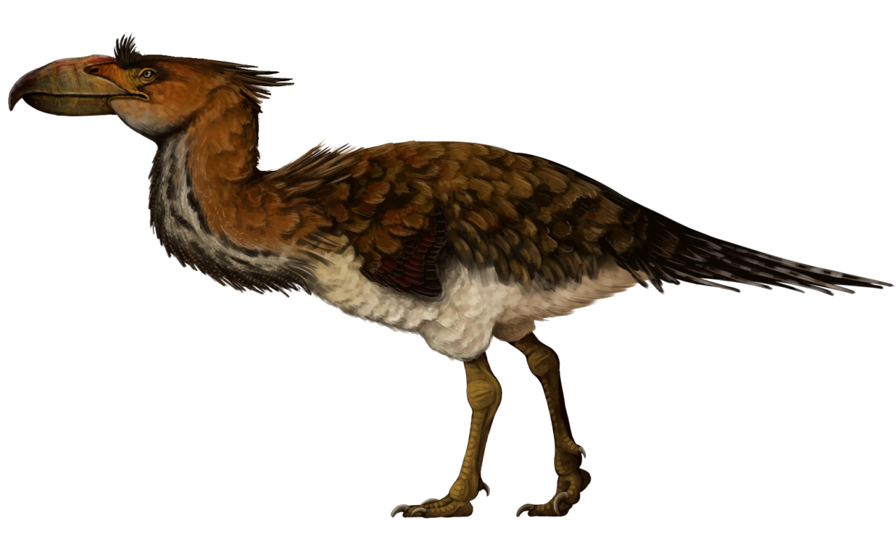 Kelenken, A true terror Bird ! - Creature submission archive - ARK ...