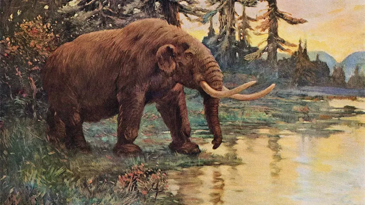 Mastodon - Fungal King - Creature submission archive - ARK - Official ...
