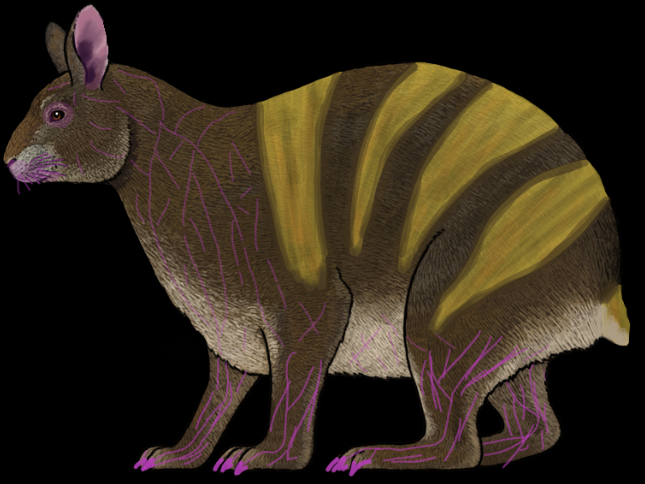 Nuralagus - The Element Addicted Bunny - Creature submission archive ...