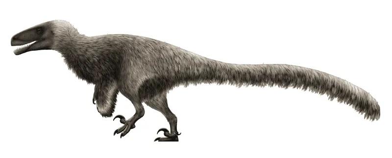 Achillobator giganticus the living net projectile - Creature submission ...