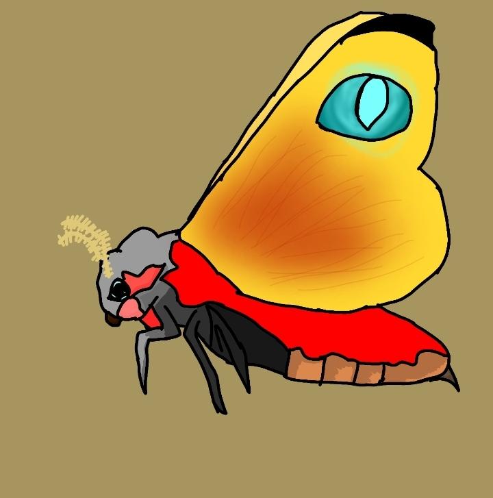 OREGRAMMA ILLECEBROSA THE GIANT BUTTERFLY - Creature submission archive ...