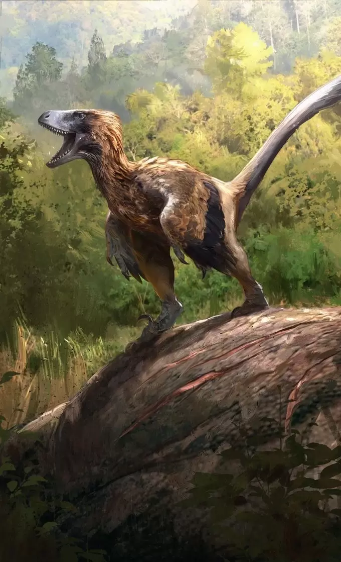 Community Crunch 369: Gigantoraptor Concept, Creature Submissions, and ...