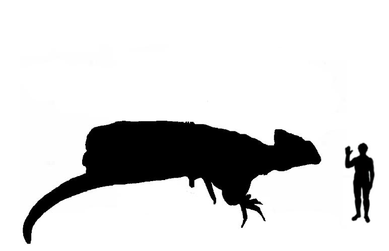 Longisquama (the living, shoulder mount, turret) [Poison or Tranq ...