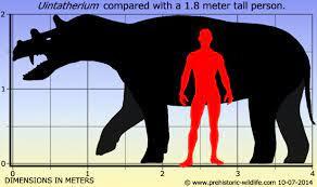 Uintatherium: The Sabertooth Body Slamming Rhino - Creature submission ...