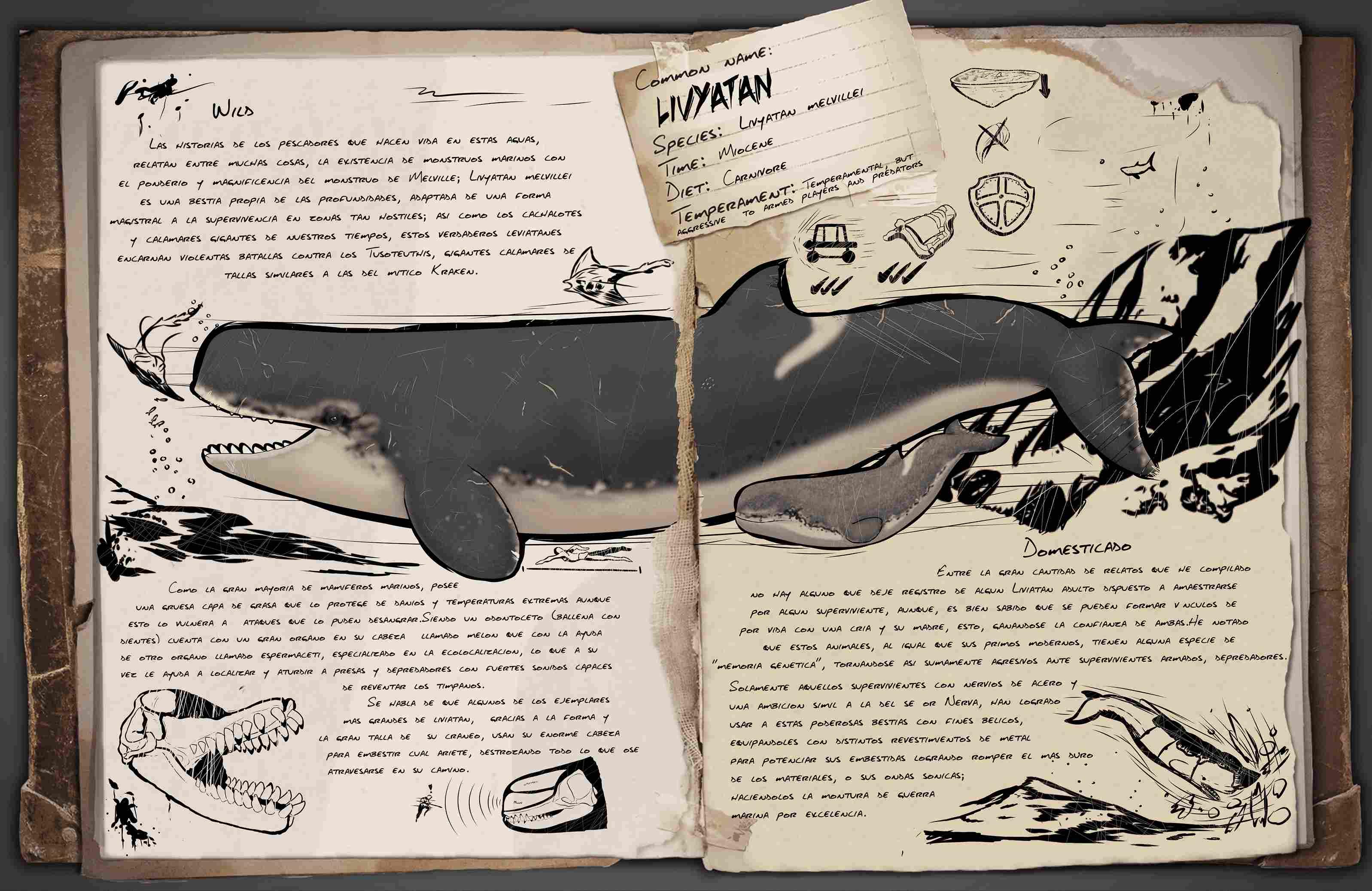 LIVYATAN MELVILLEI- A COLOSSAL SPERM WHALE MACRO PREDATOR-APEX ...