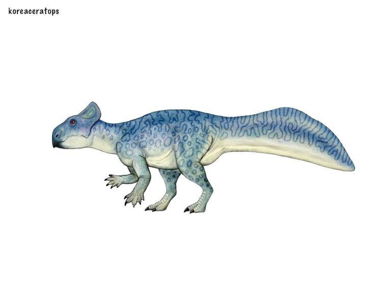 Koreoceratops Lanceae "The Hover ceratopcian" - Creature submission ...