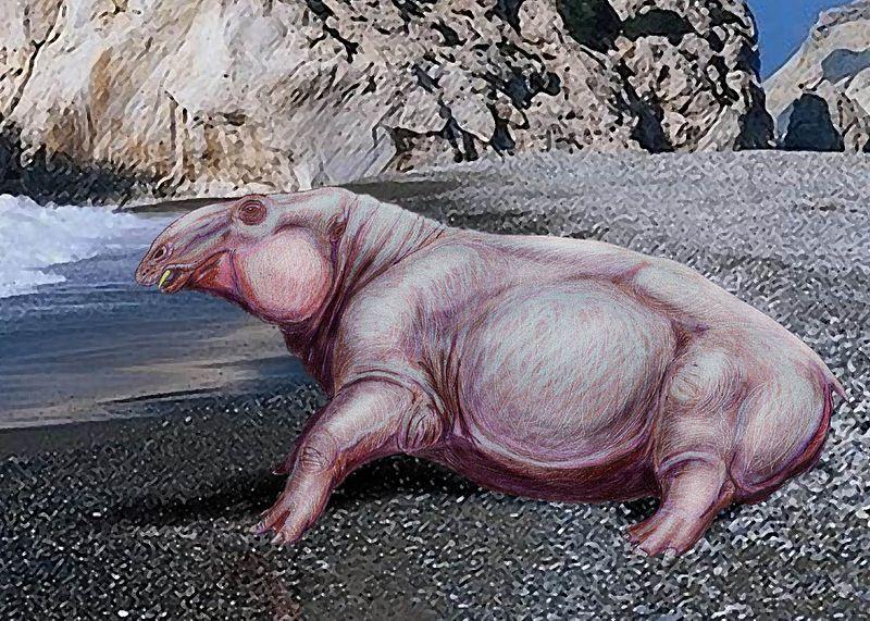 Some species that have never been suggested New species! - Game ...